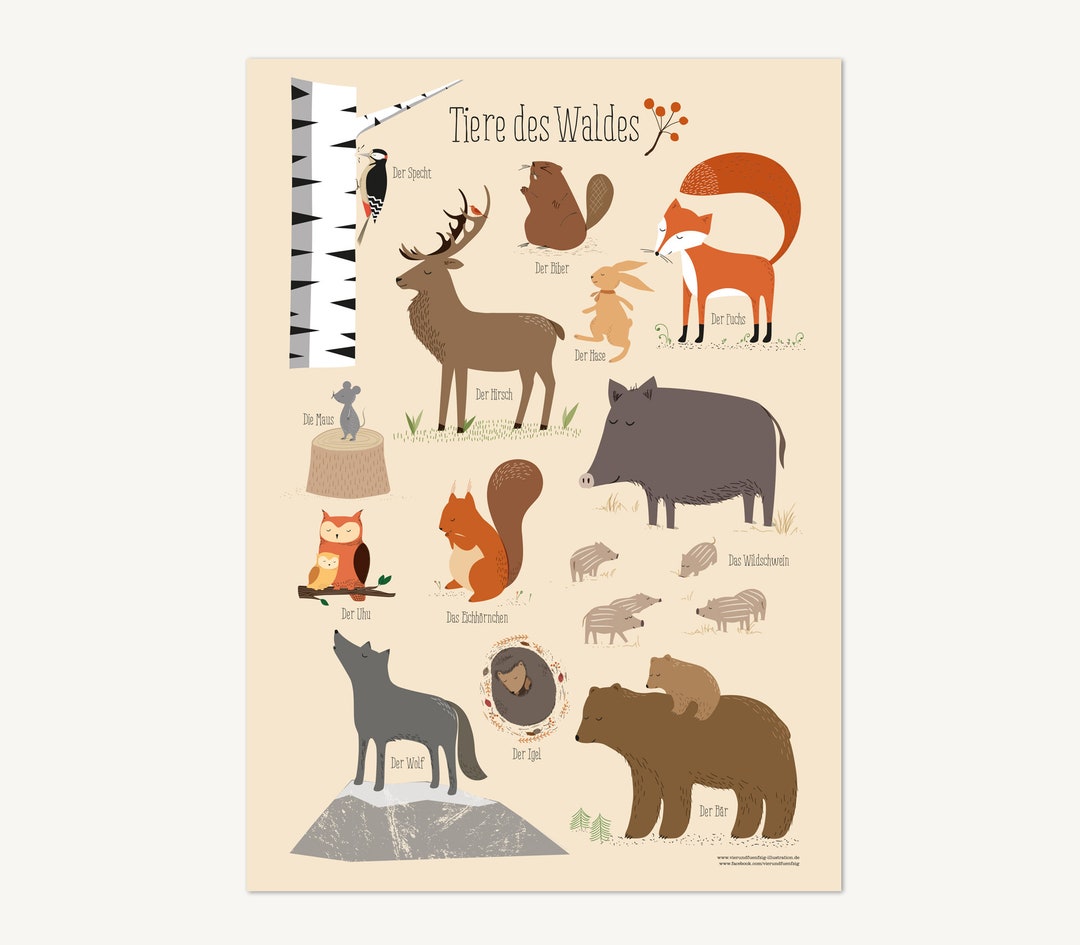 Animals of the Forest, Poster A3 - Etsy
