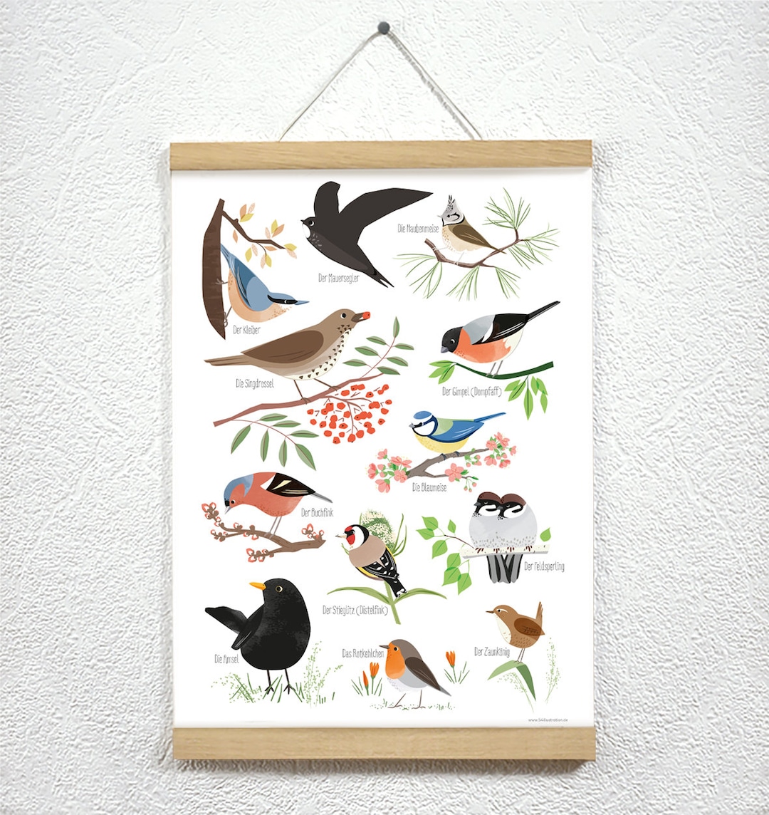 Native Garden Birds A3 Poster Poster DIN A3 Oak - Etsy