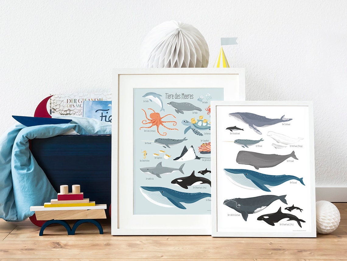 Animals of the Sea Poster A3 | Etsy