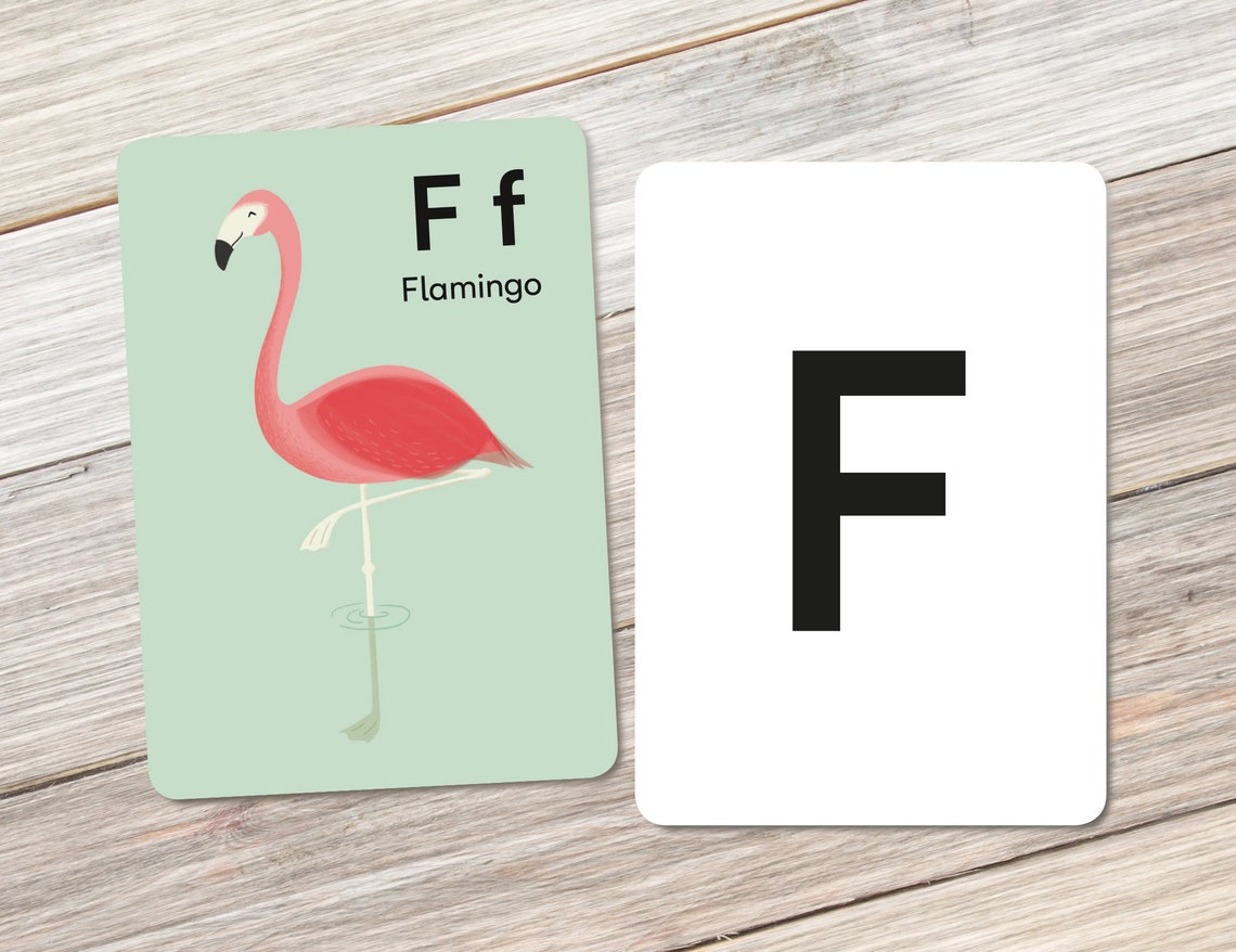 Animal alphabet: F like flamingo | Etsy
