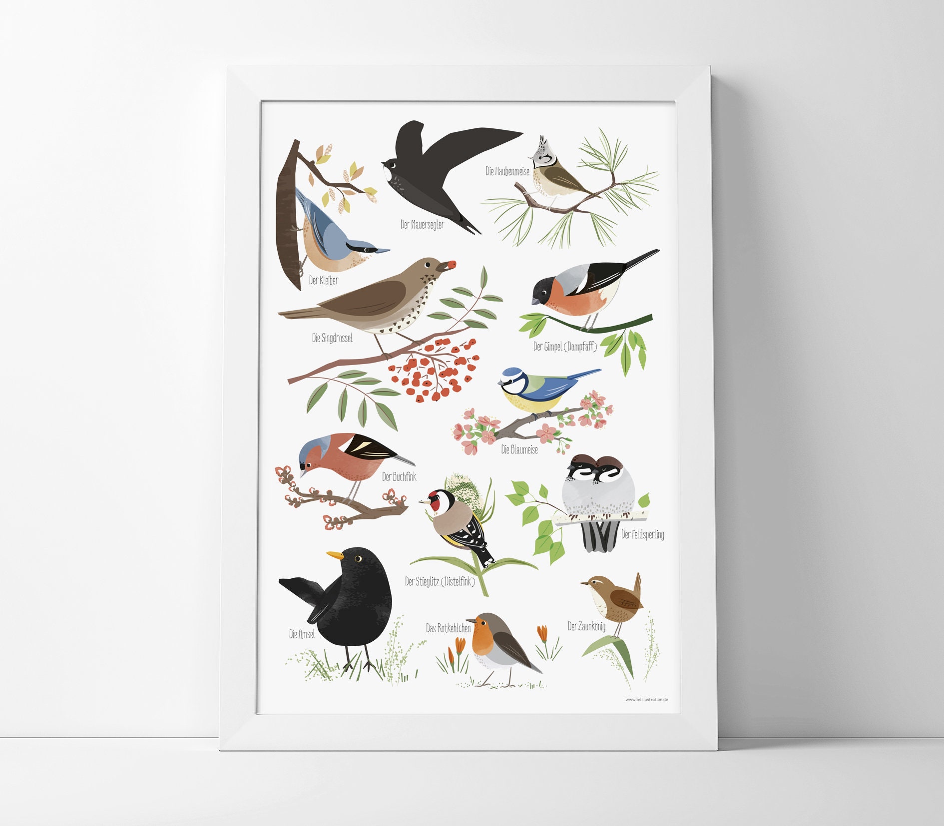 Native Garden Birds Poster A3 | Etsy