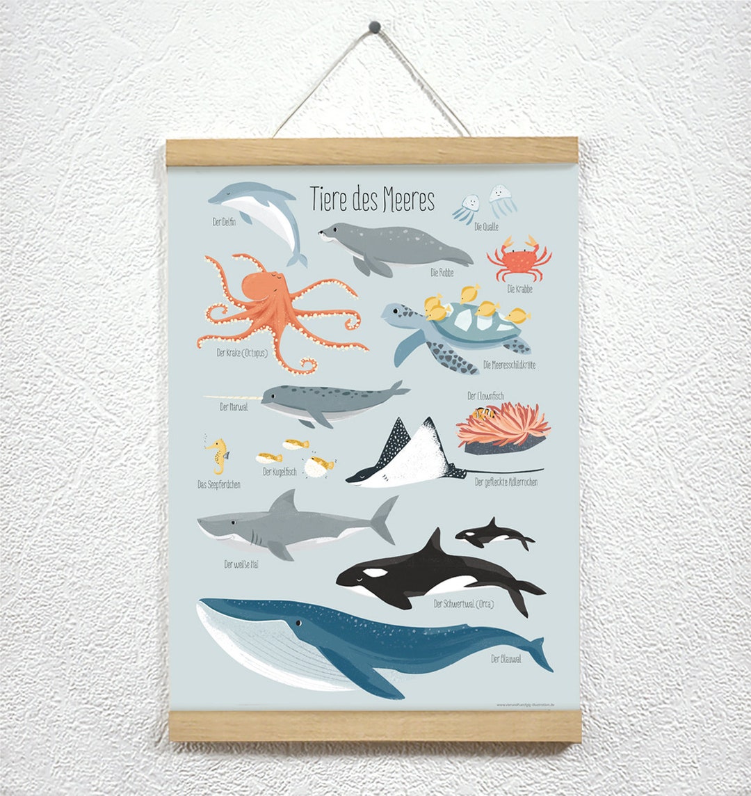 Sea Animals, Poster A3 Poster Strip DIN A3, Oak - Etsy
