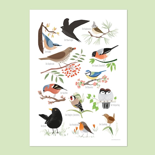 Native Garden Birds Poster A3 - Etsy