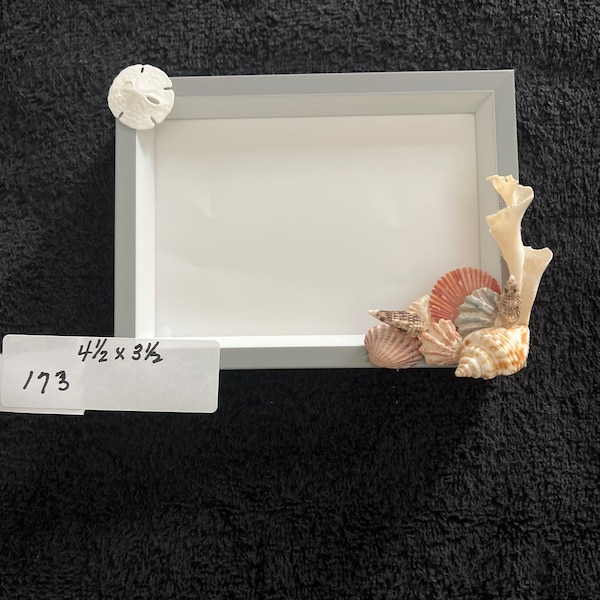 Shell Frame - Etsy