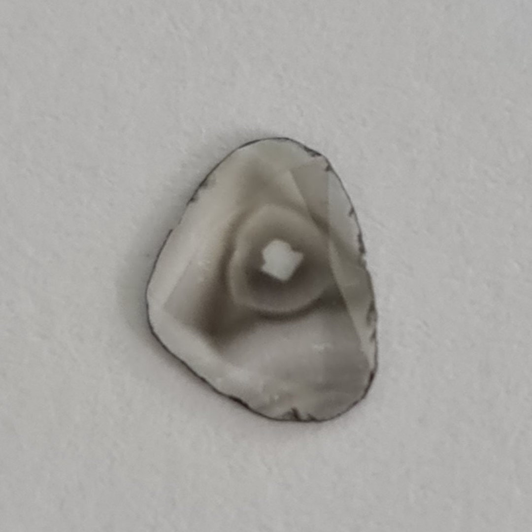 Trapiche Diamond Slice: Rare Collectible Gemstone, 0.17ct - Etsy