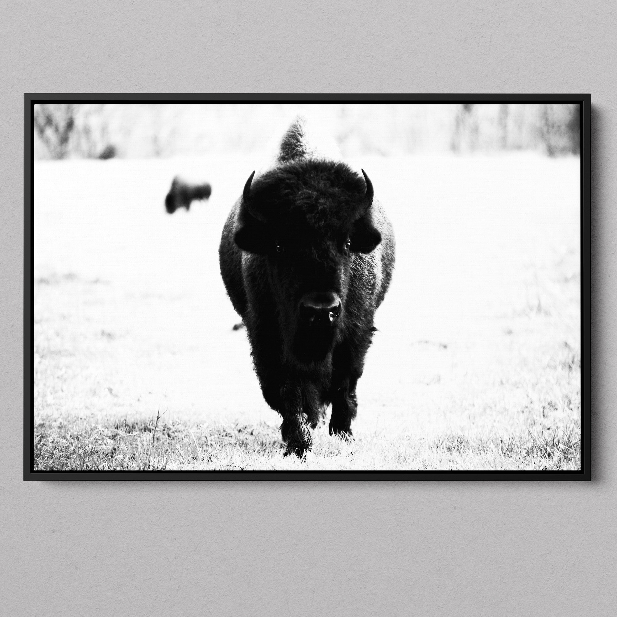 Buffalo Framed Print, Buffalo Wall Art, Bison Print, Wildlife ...