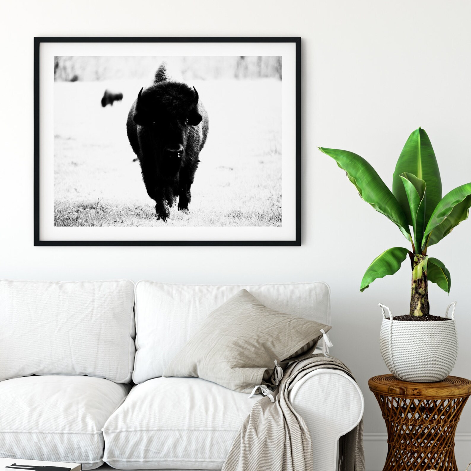 Buffalo Framed Print, Buffalo Wall Art, Bison Print, Wildlife ...