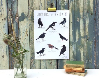 Corvids - Etsy UK