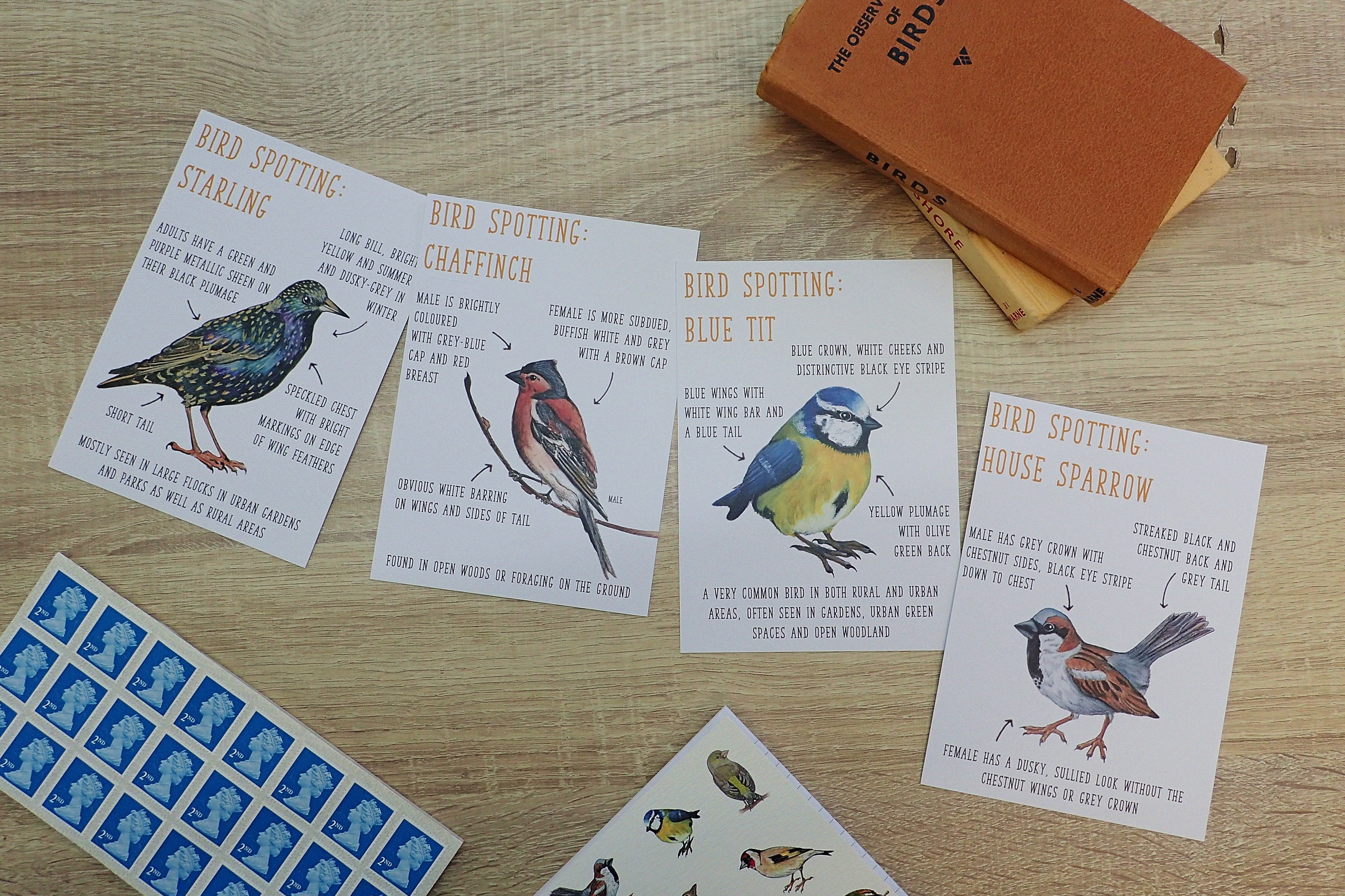Great Tit Identification Garden Birds Guide Postal Tarjeta de ...
