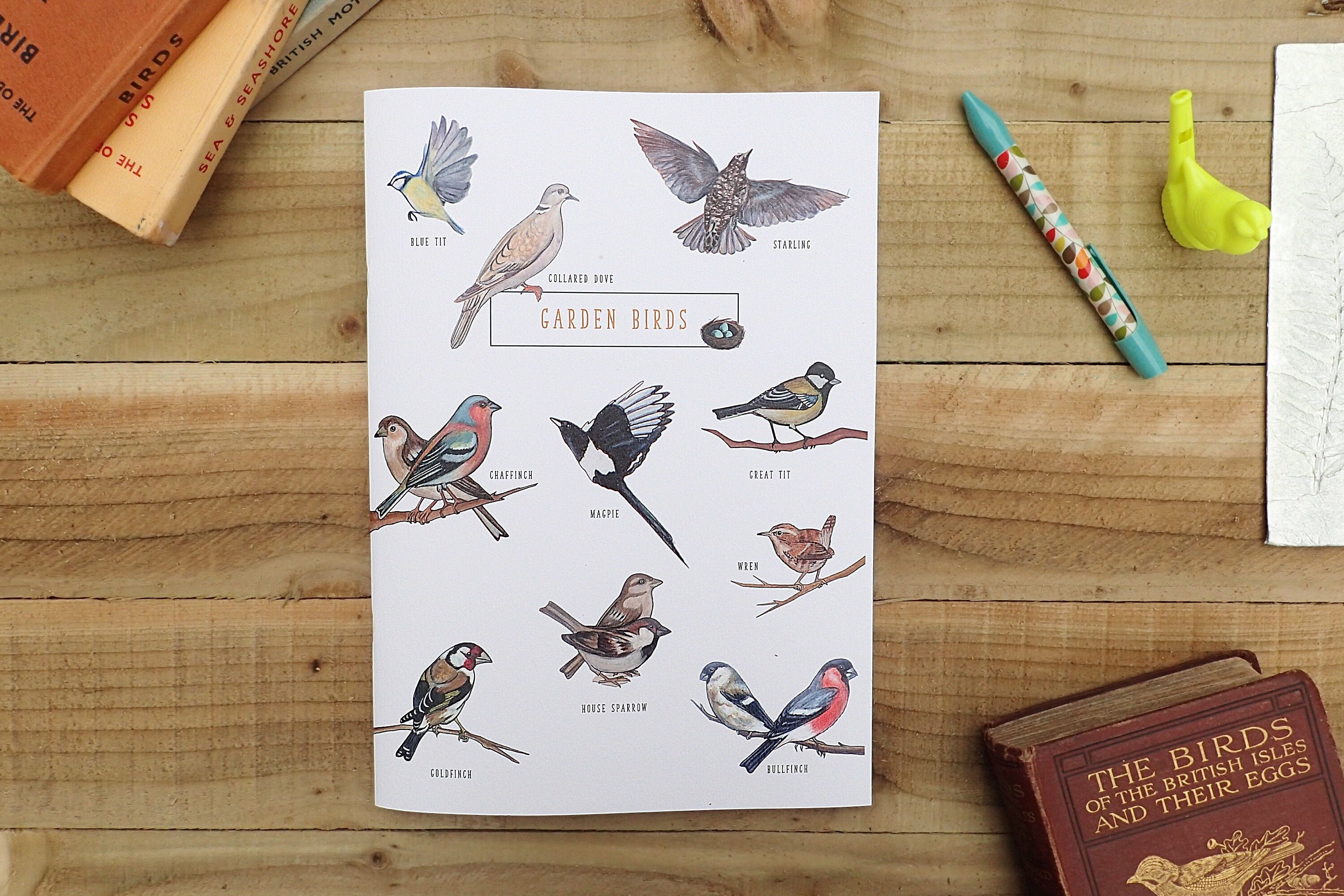 British Garden Birds Notebook Multiple Sizes Wildlife RSPB - Etsy