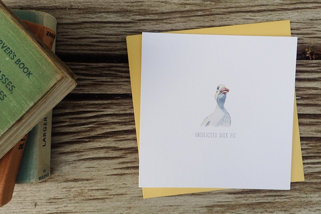 Unsolicited Duck Pic Selfie Valentines Meme Blank Greetings Card Free ...