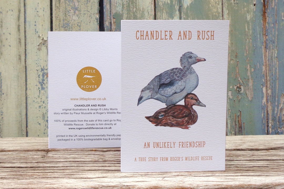 Chandler & Rush Duck Friends Wildlife Rescue Storybook Concertina Blank ...