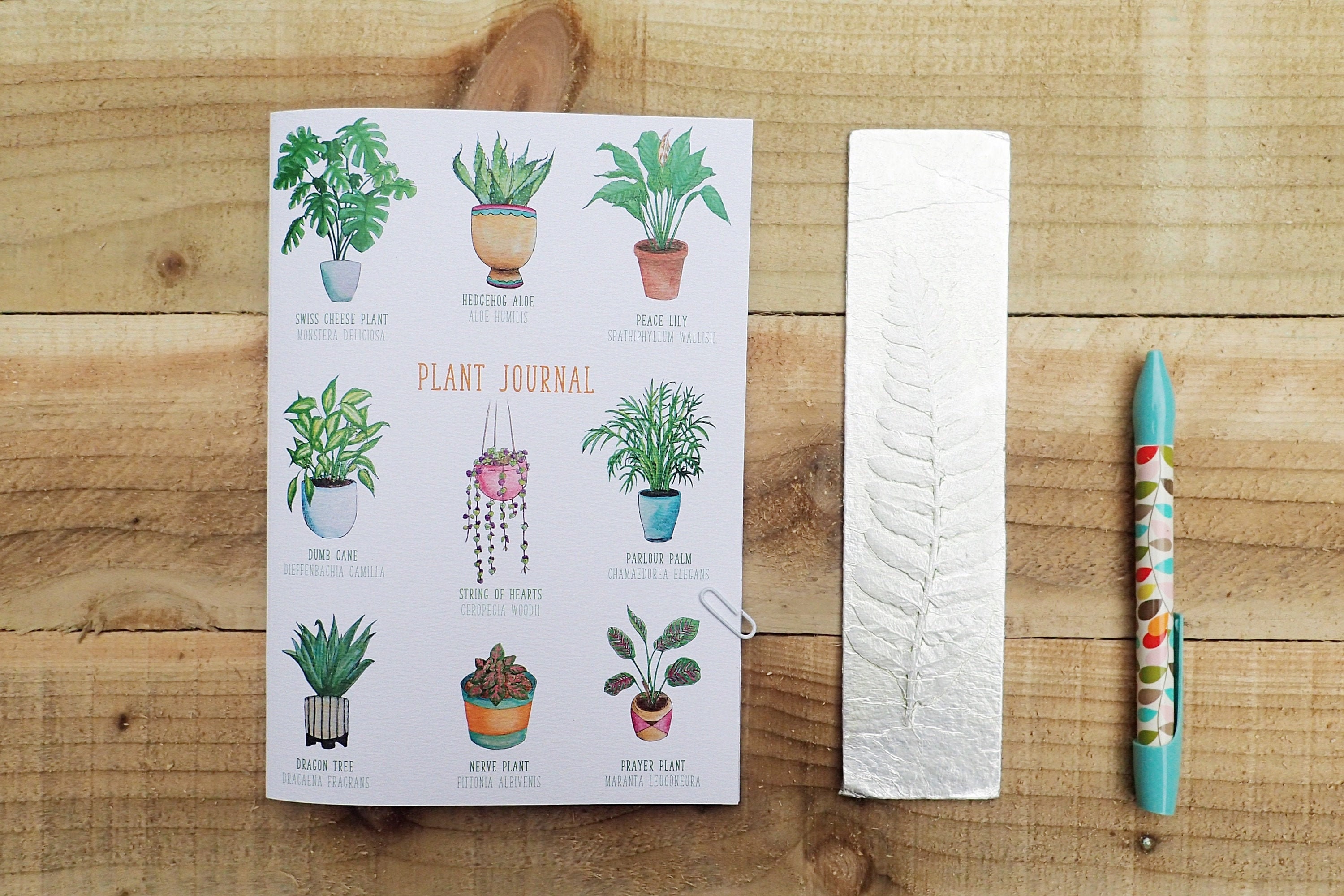 Plant Journal for Houseplant Care, A5 Lined Notebook for Succulents ...