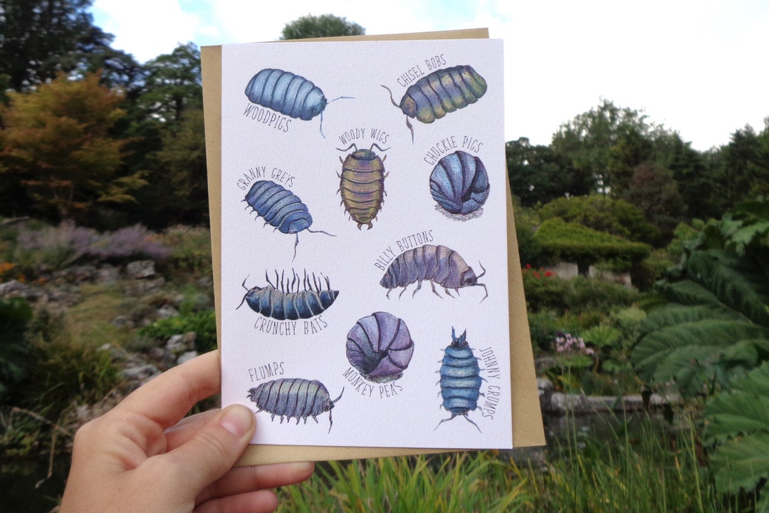 Woodlouse Regional Names Identification Greetings Card Free - Etsy UK