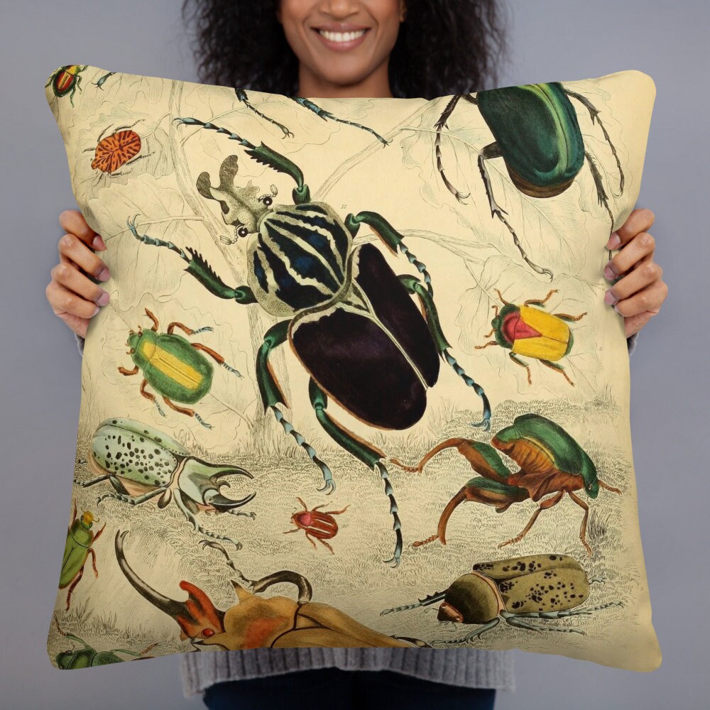 Beetle Cozy Throw Pillow Vintage Scarab Beetles in Nature | Etsy