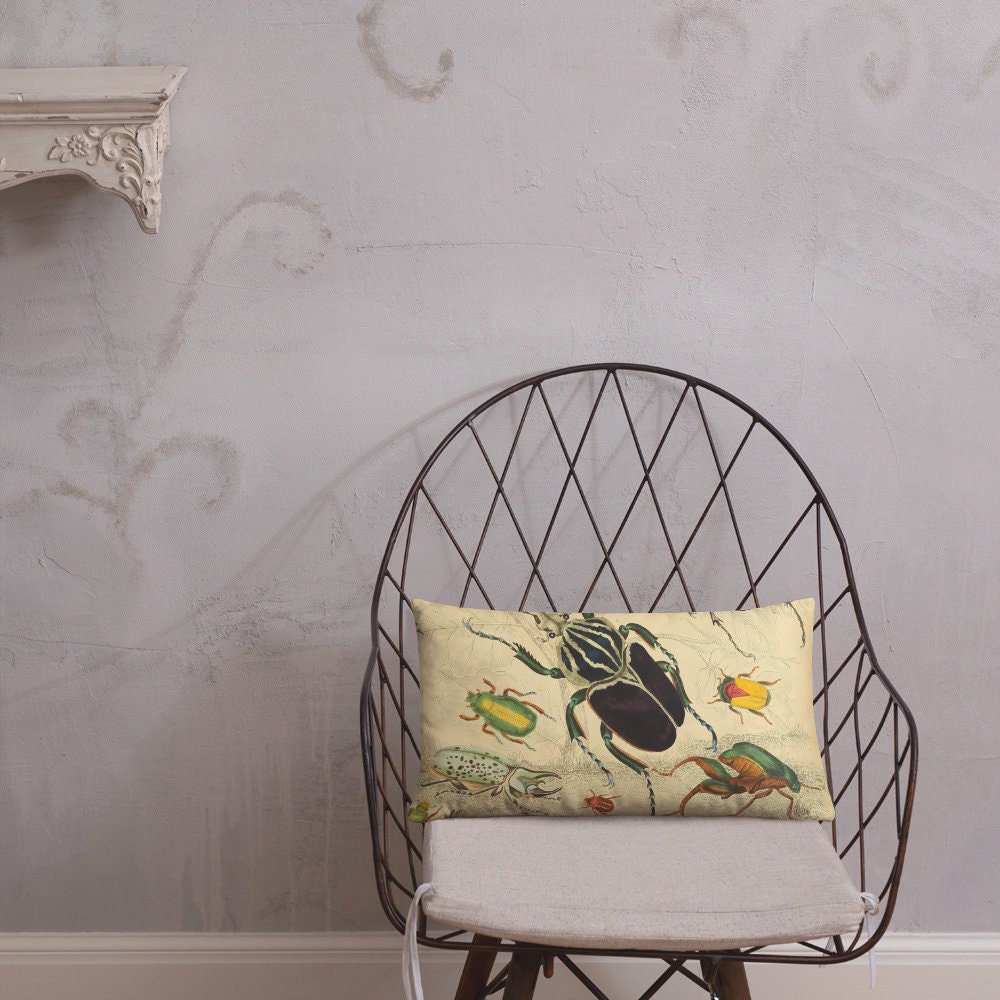 Beetle Cozy Throw Pillow Vintage Scarab Beetles in Nature | Etsy