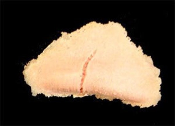 Special FX Makeup Split Lip Upper Left Foam Latex | Etsy