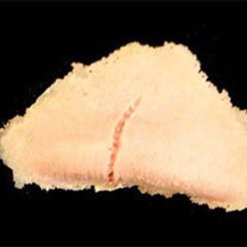 Prosthetic Lips - Etsy