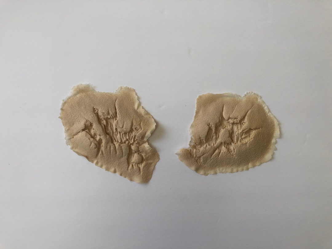 Zombie Split Cheeks - Foam Latex Prosthetic - Special FX Makeup ...