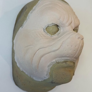 Special FX Mean Grouch Foam Latex Face Prosthetic Mask - Painted ...