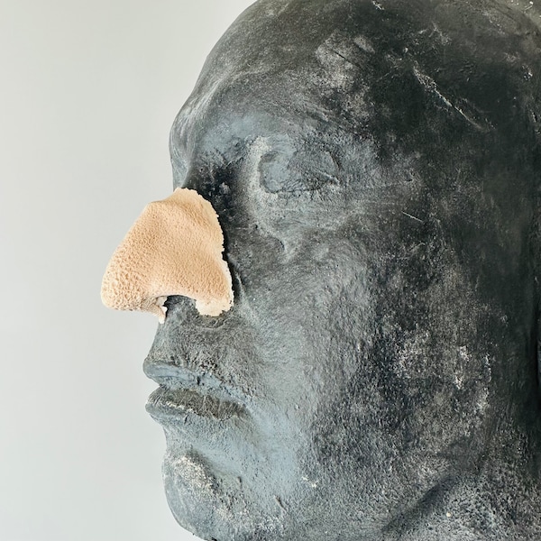 Witch Nose - Etsy