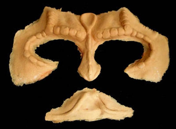 Star Trek Makeup Foam Latex Prosthetic Cardassian Brow & - Etsy Canada