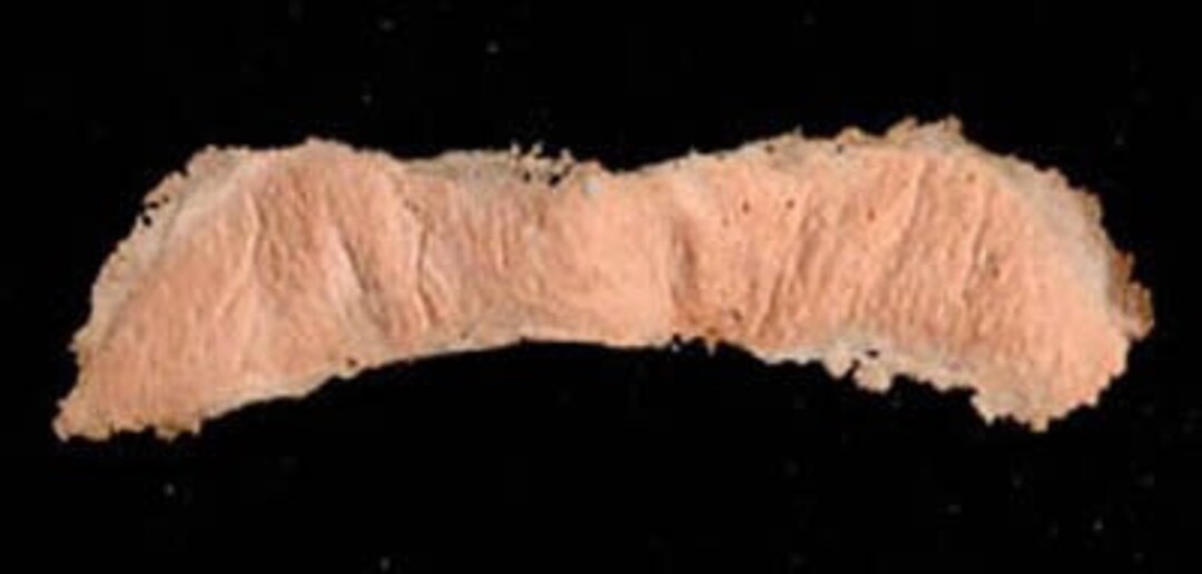 Special FX Makeup - Old Age Lip - Foam Latex Prosthetic - Etsy