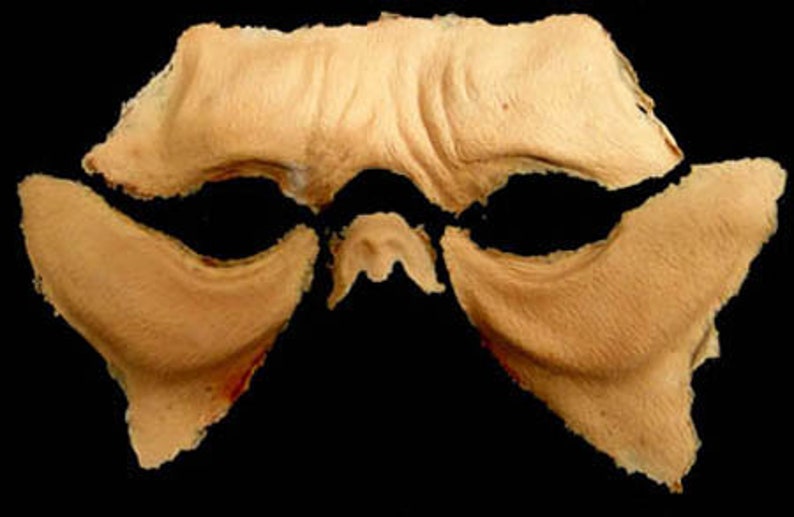 Halloween - Special FX Makeup - Foam Latex Prosthetic Mask- Generic ...