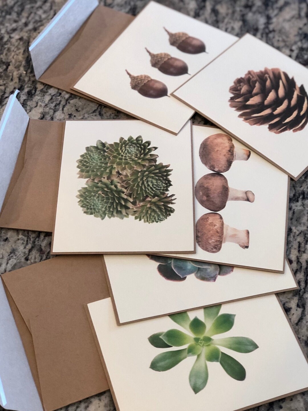 BOTANICAL Post Cards | Nature's Calm | Envelopes | Set of 6 | Includes ...