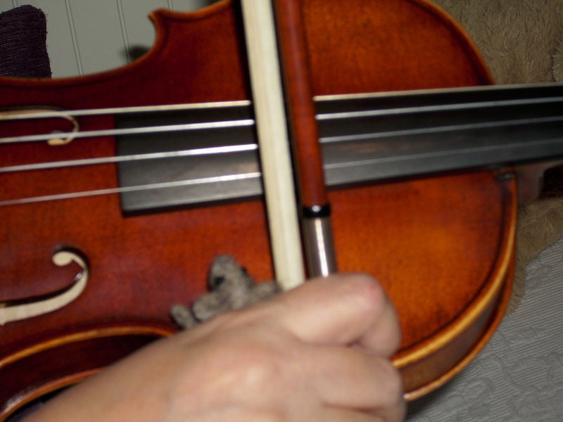 Mice Violin, Viola Nigel, Harp Guinea Pigs - Etsy