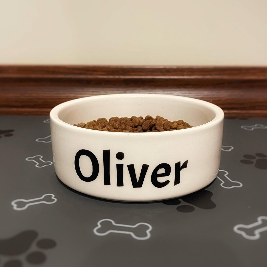 Personalized Pet Bowl, Customized With Pets Name, Unique Dish for Dog ...