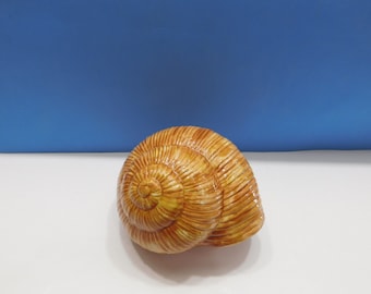 Ceramic Snail Shell - Etsy