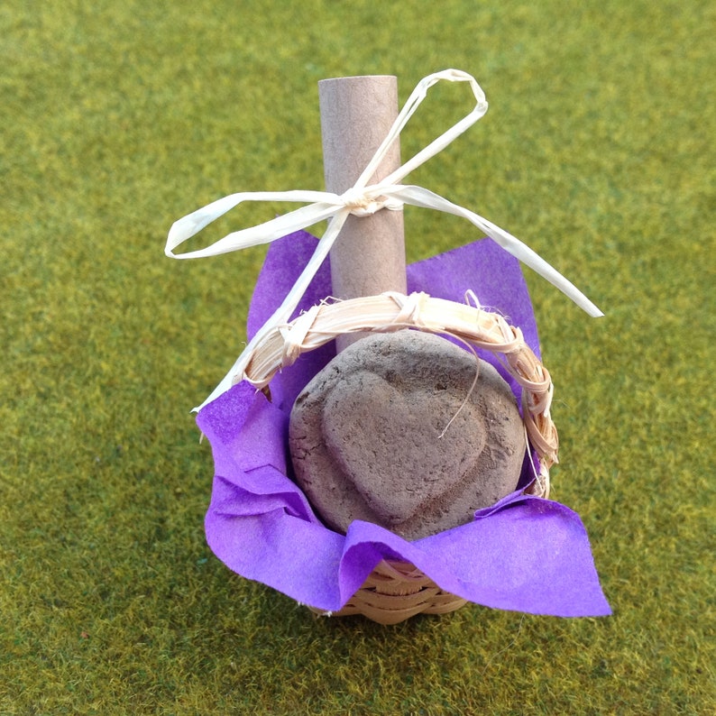 PERSONALIZED Gifts Wedding Seedbomb Seed Bombs Seed Ball - Etsy