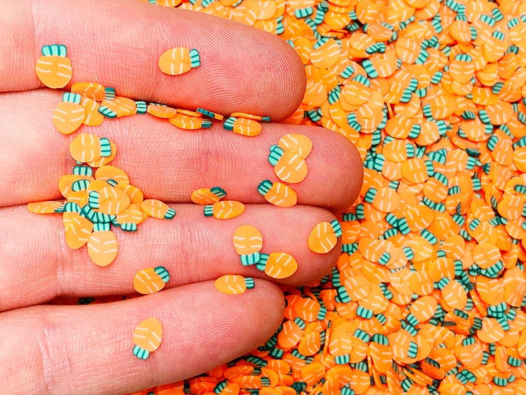 Carrot Fimo Slices, Polymer Clay Slices, Nail Art, Miniature, Easter ...