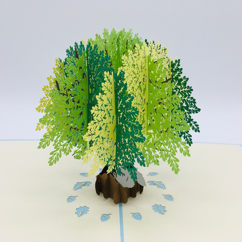 Card Pop Up - Etsy