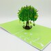 Money Tree, 3D Card / Pop-up / Folding Card - Etsy