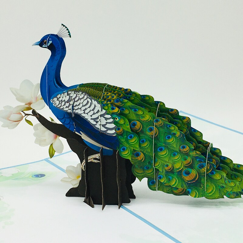 Peacock Pop up Card - Etsy