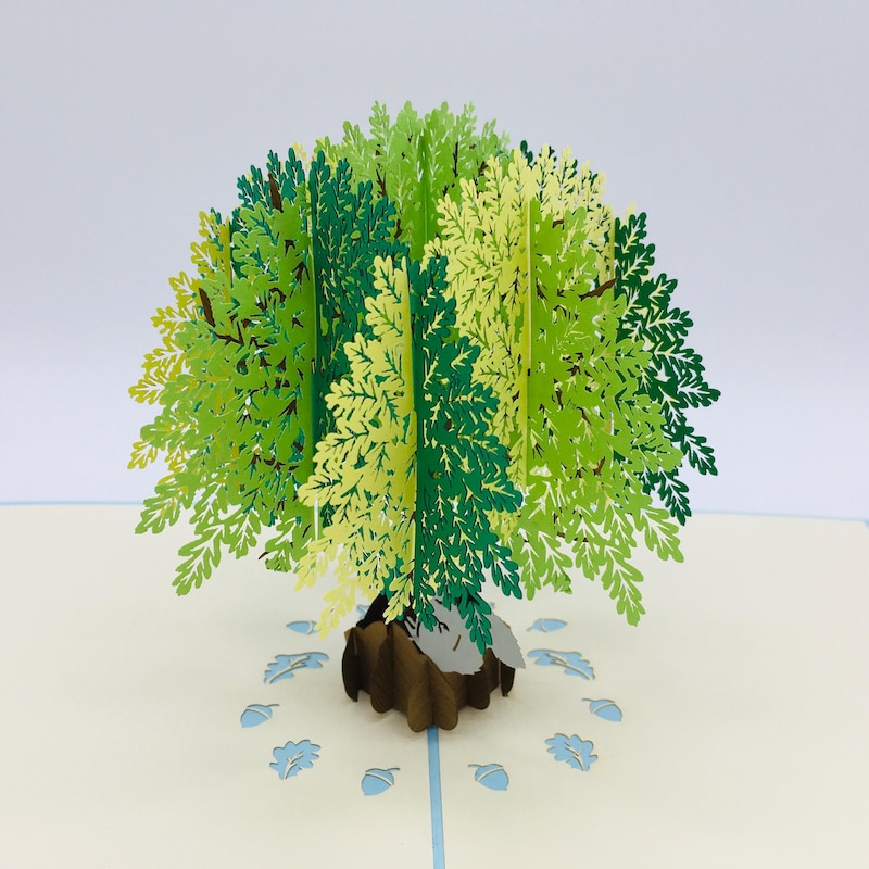 Oak Pop Up - Etsy UK