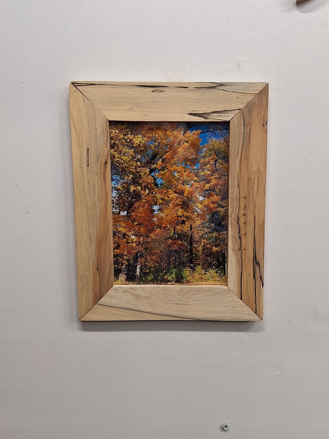 Item 1122 - a Spalted Birch Picture Frame Set up for 5