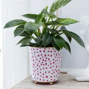 Spot on Hand Painted Round 6 Inch Cachepot - Etsy