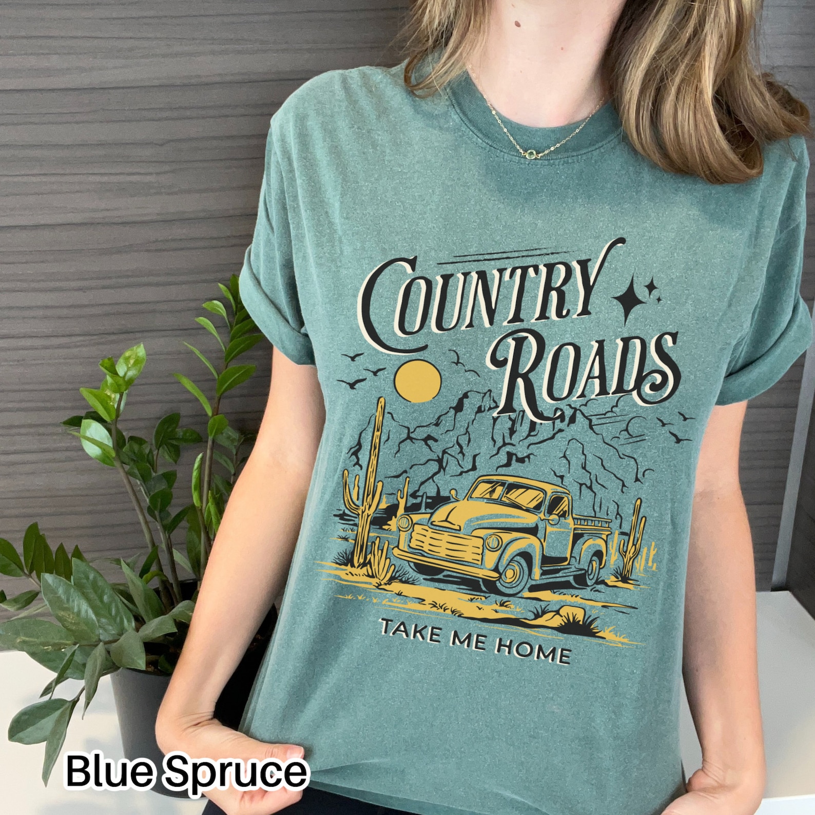 Country Shirt Retro Country Western Tshirt Comfort Colors T-shirt ...