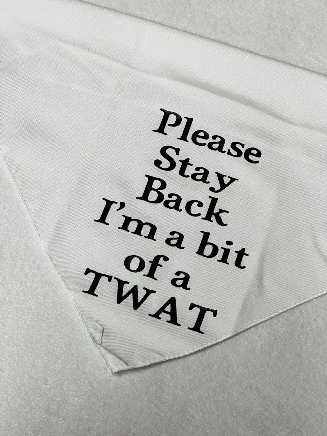 Stay Back, Funny Dog Bandana, Tie on Bandana - Etsy