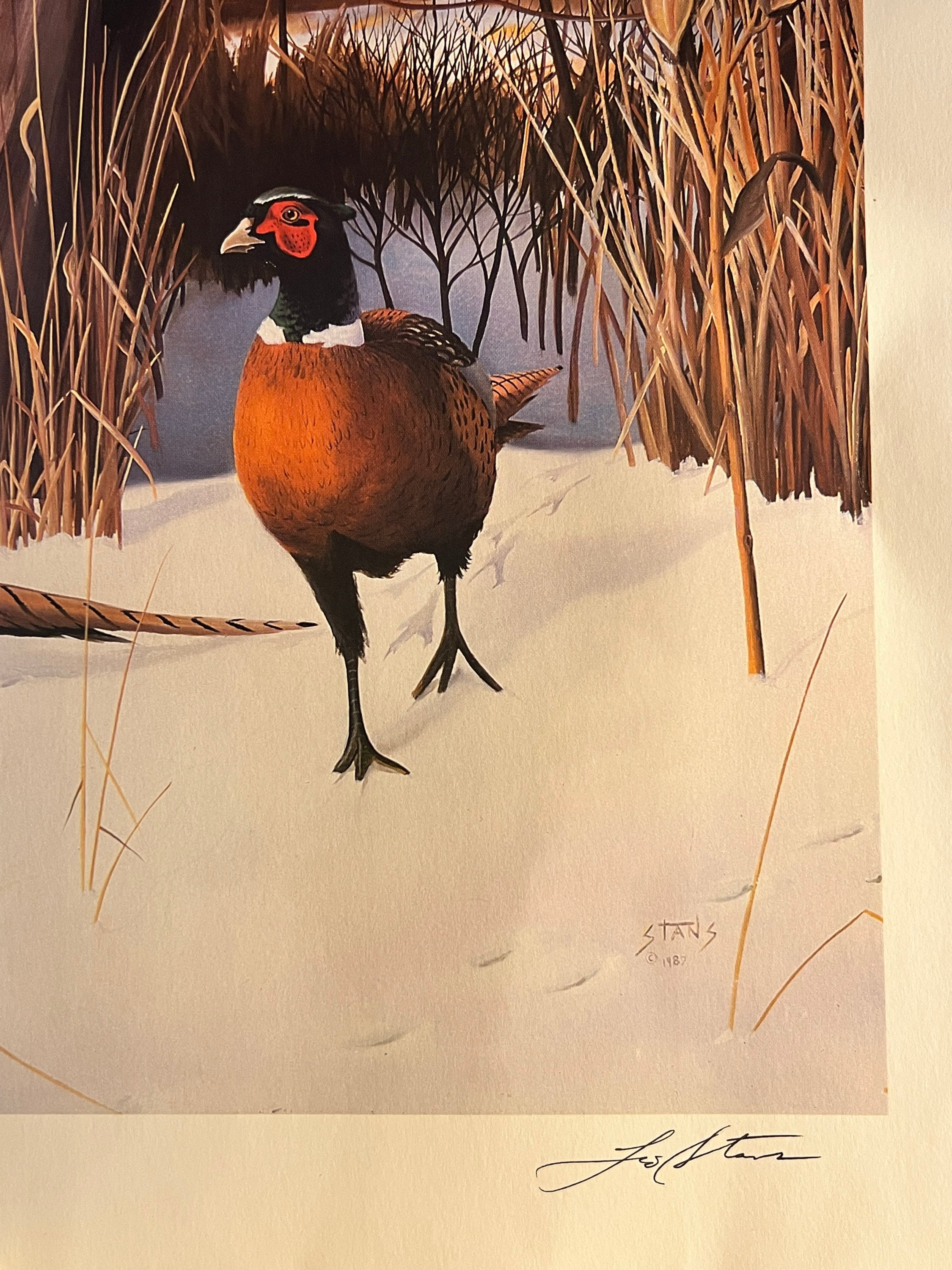 Wildlife Prints by Leo Stans - Etsy