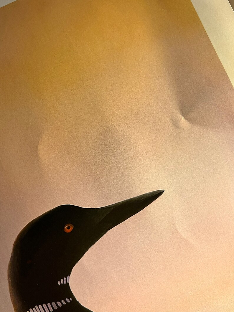 Wildlife Prints by Leo Stans - Etsy