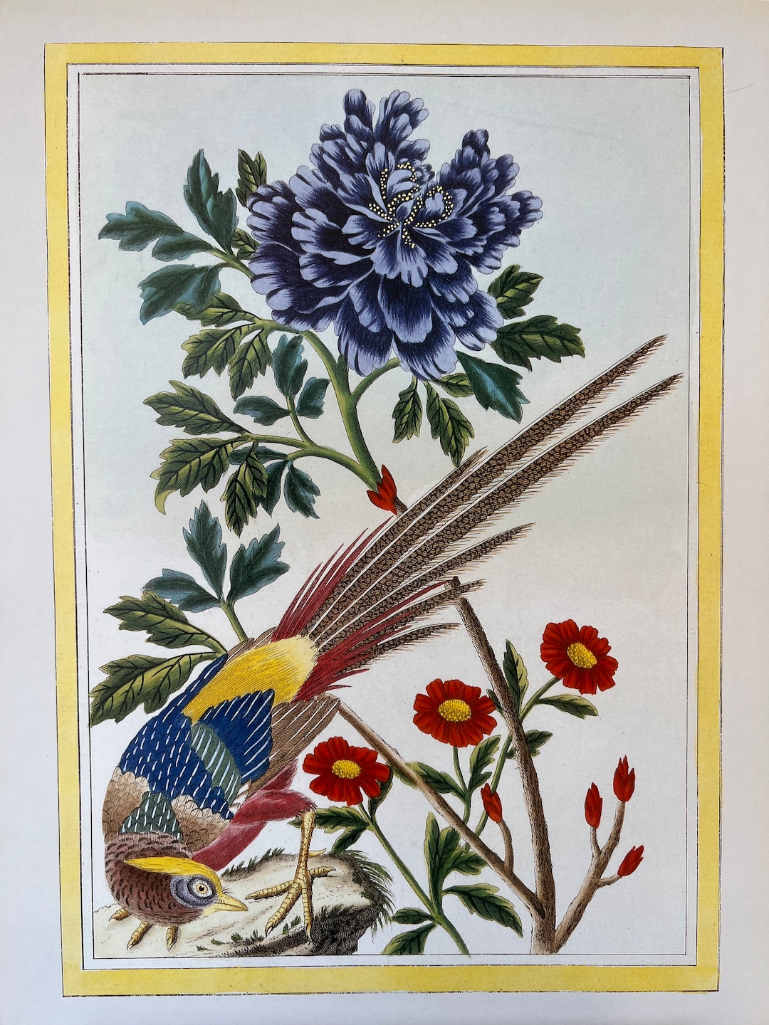 Vintage Print Bird and Flower - Etsy