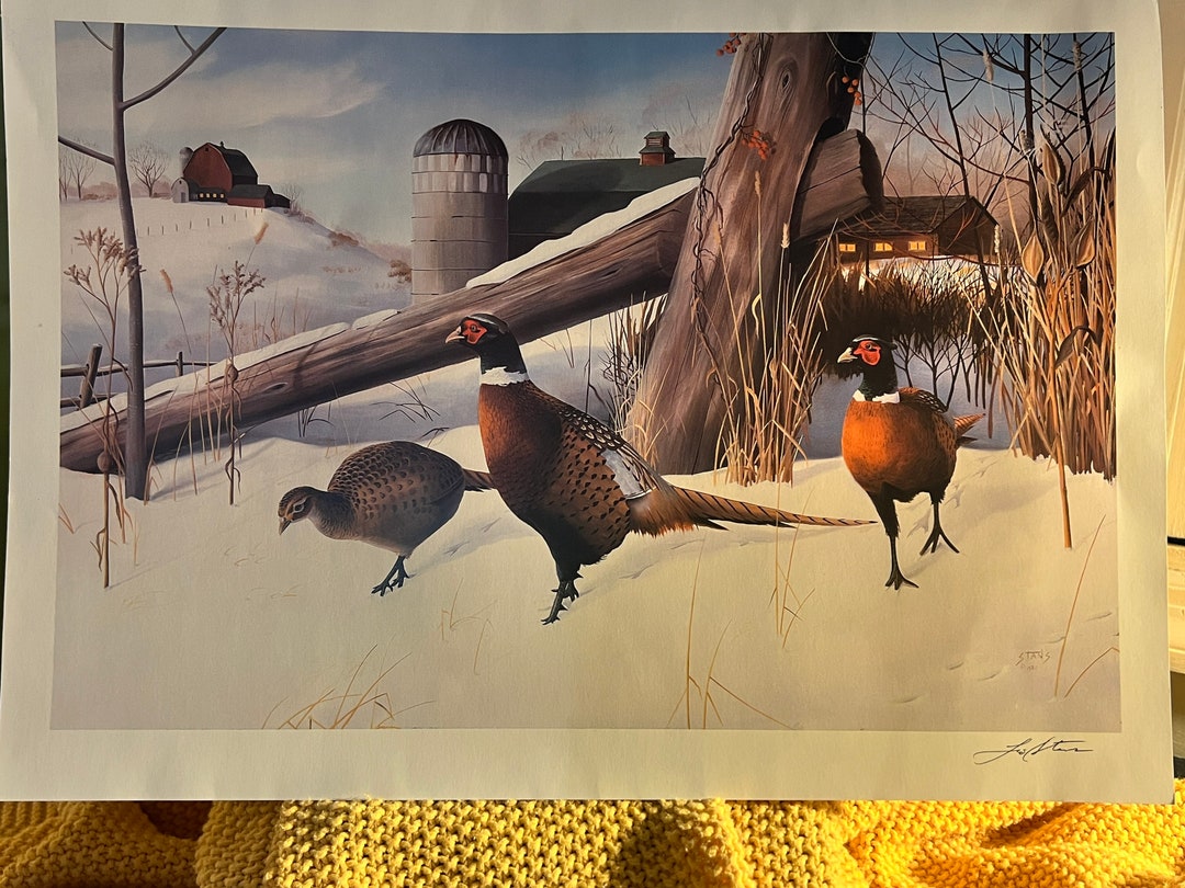 Wildlife Prints by Leo Stans - Etsy