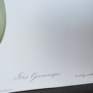 Iris Vintage Print - Etsy