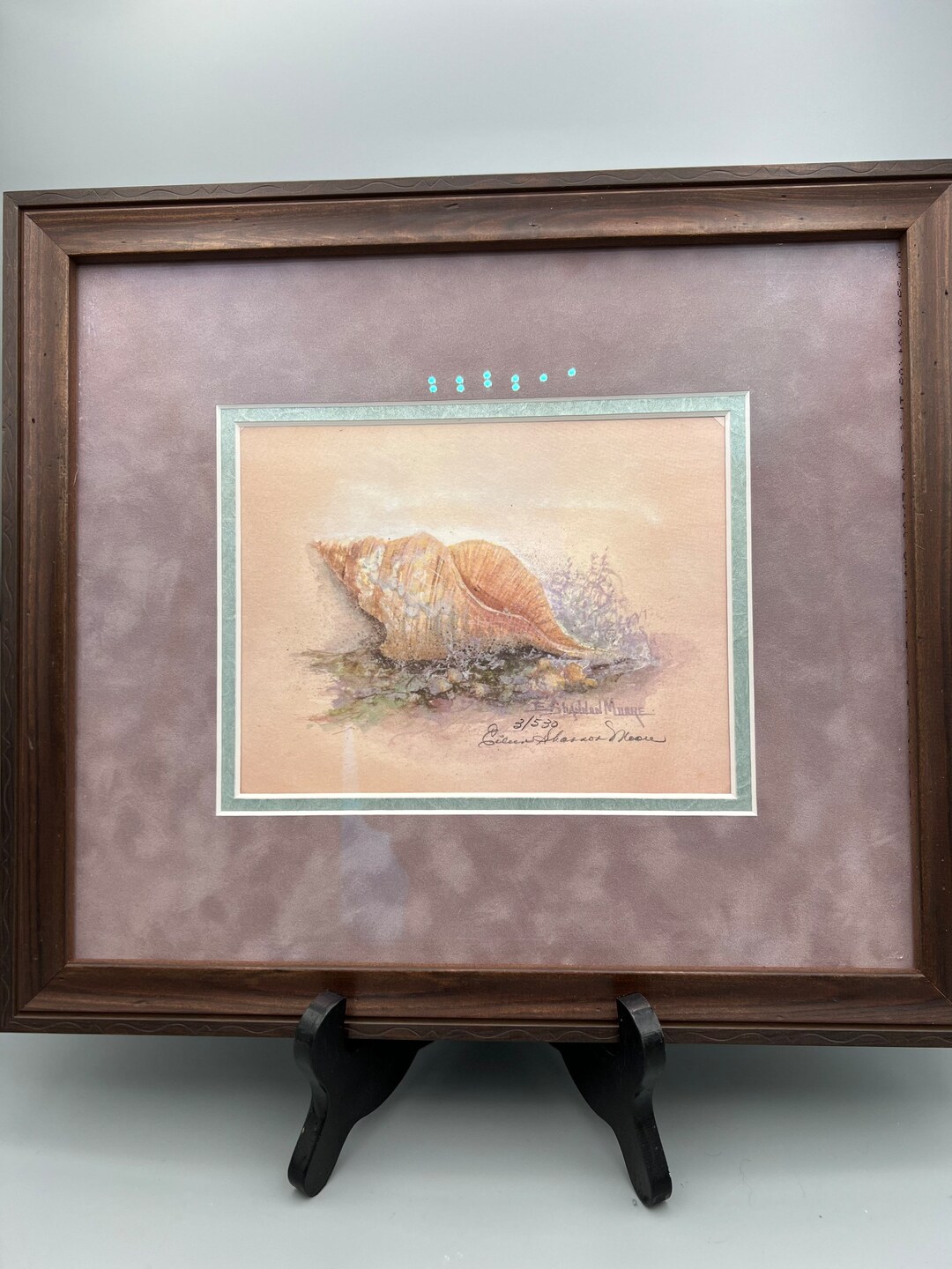 Vintage Eileen Shannon Moore Signed, Numbered, Framed Sea Shell Print ...