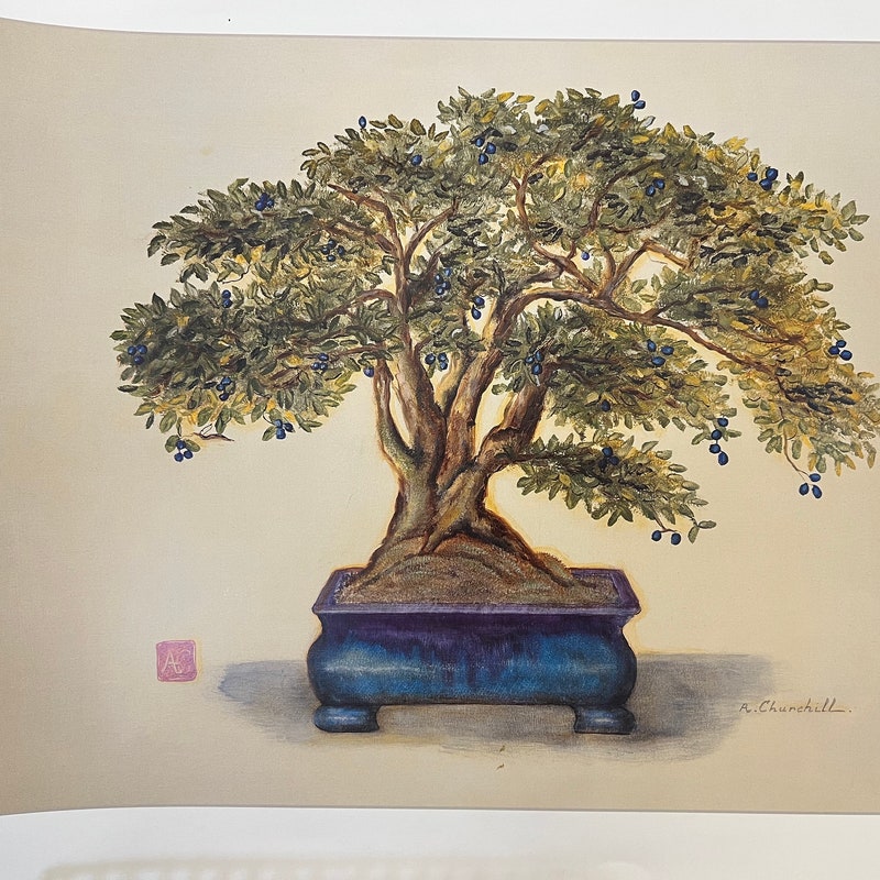 Bonsai Tree Painting - Etsy