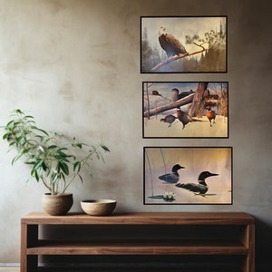 Wildlife Prints by Leo Stans - Etsy